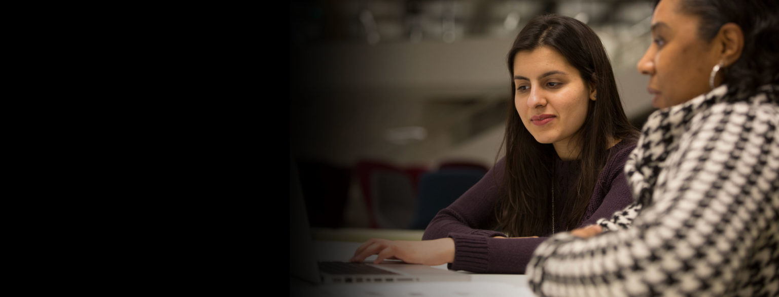 Take A Course | Northeastern University College of Professional Studies