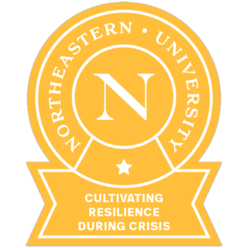 Digital Badges | Northeastern University College of Professional Studies
