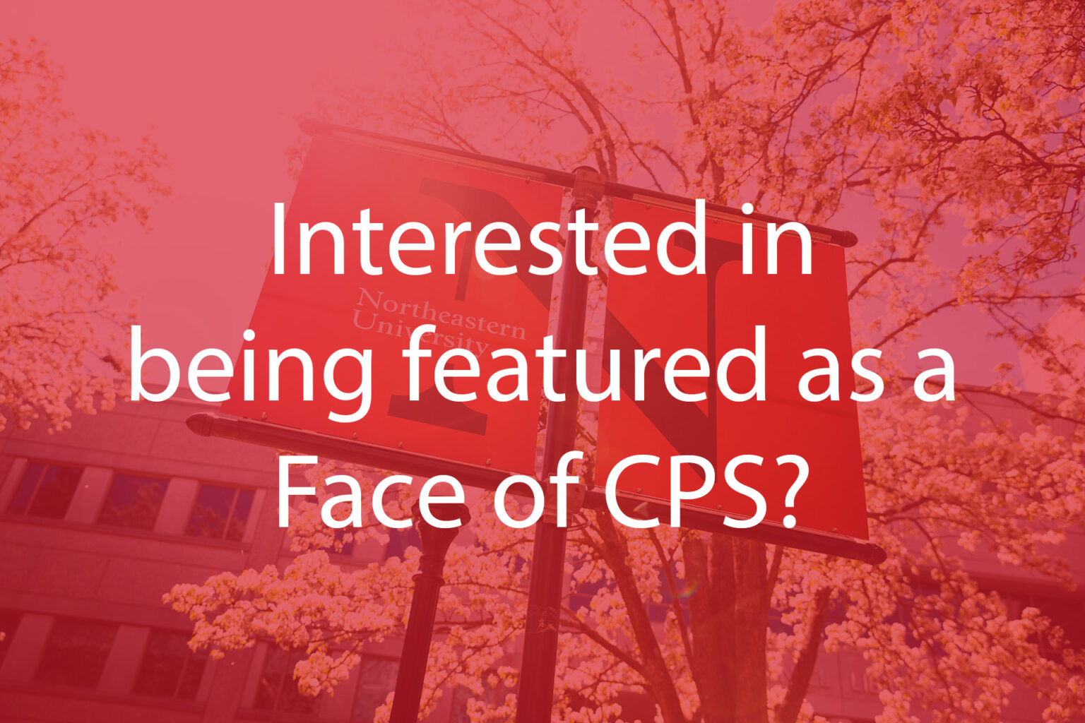 Faces of CPS | Northeastern University College of Professional Studies